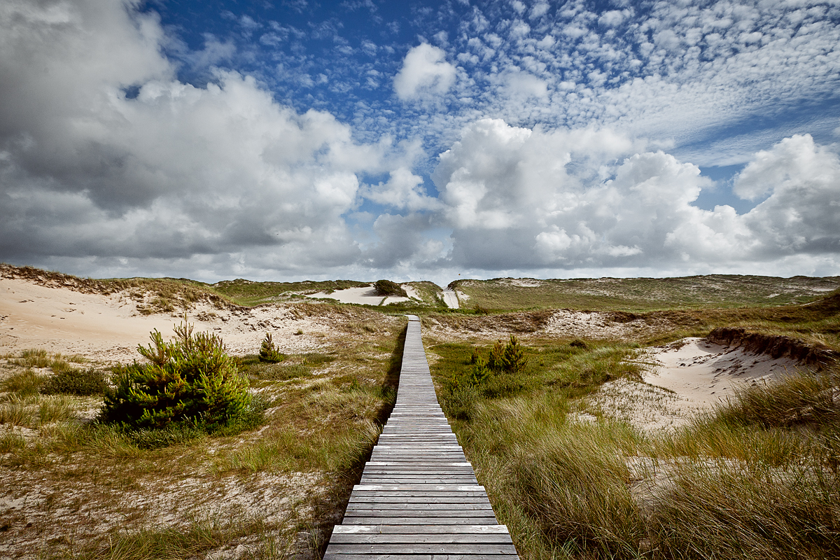 La mer des Wadden, Allemagne : Hooge et Amrum - Madame Oreille, blog ...