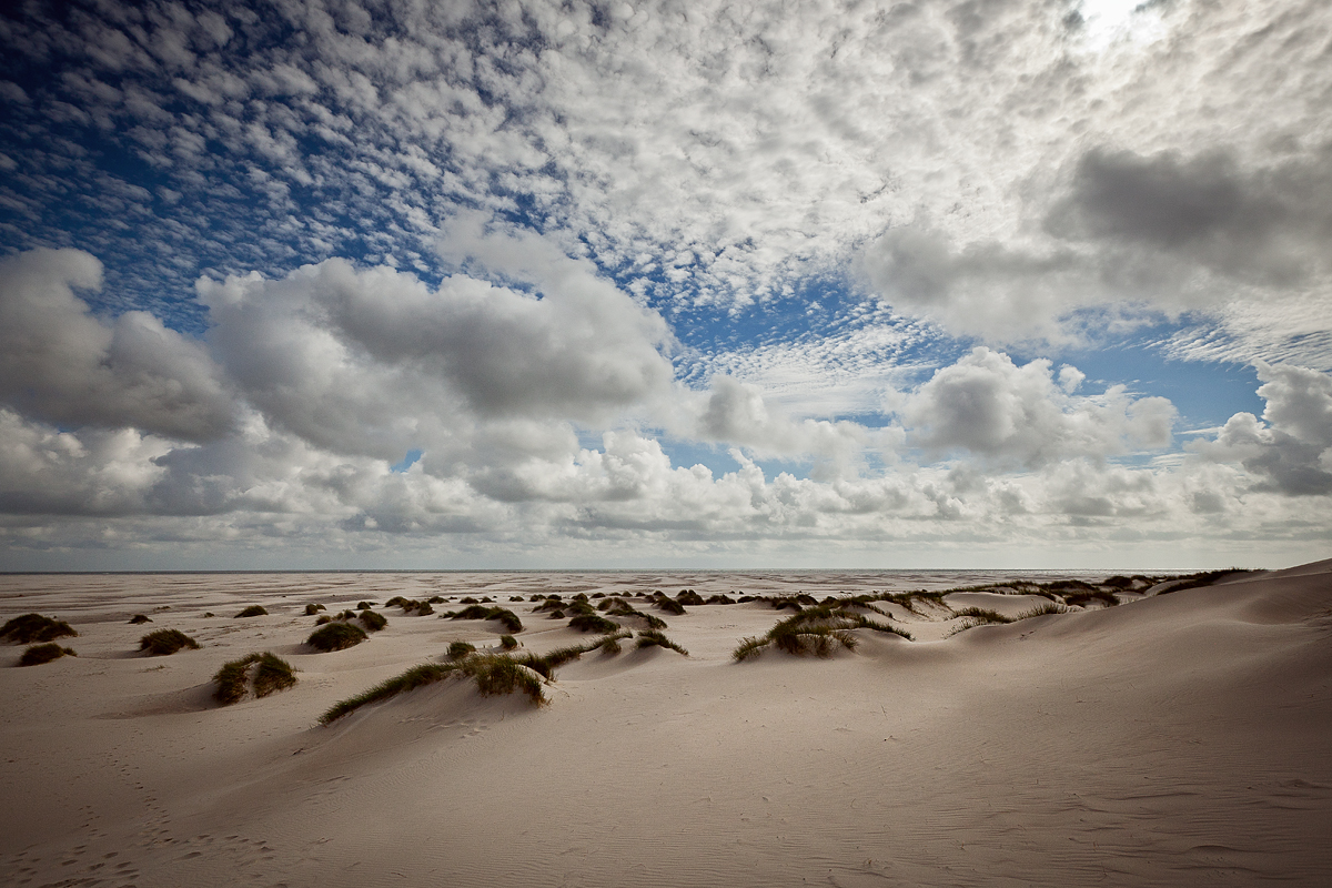 La mer des Wadden, Allemagne : Hooge et Amrum - Madame Oreille, blog ...